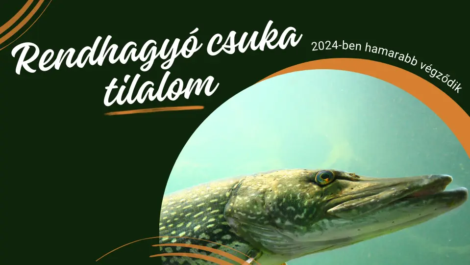 Csuka tilalom 2024. - amit illik tudnod a csuka tilalomról