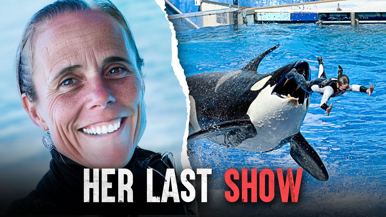 Dawn Brancheau valódi tragédiája és a Jessica Radcliffe orka támadás ...